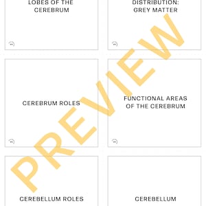 The Human Brain Flashcards - Science Educational Resource - Exam Prep ...