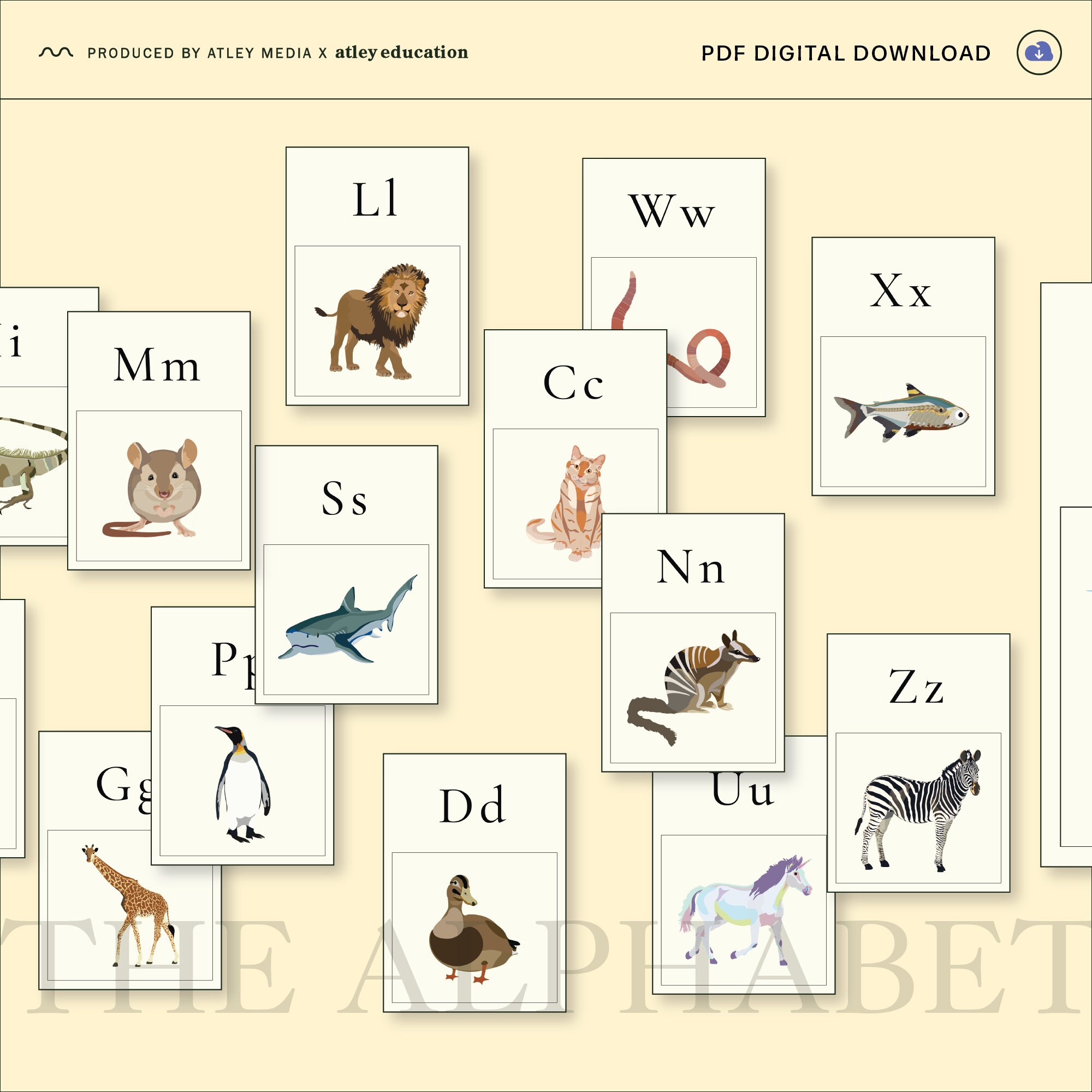 ABC Alphabet Cards - Word Wall Classroom Décor Pack | Alphabet Letters ...