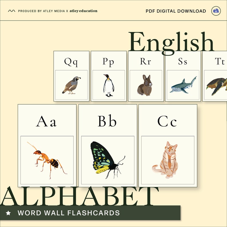 ABC Alphabet Cards - Word Wall Classroom Décor Pack | Alphabet Letters ...