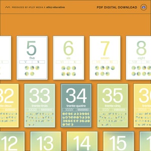 EDITABLE Number Cards - Written, Roman Numerals & Tally Format - Light ...