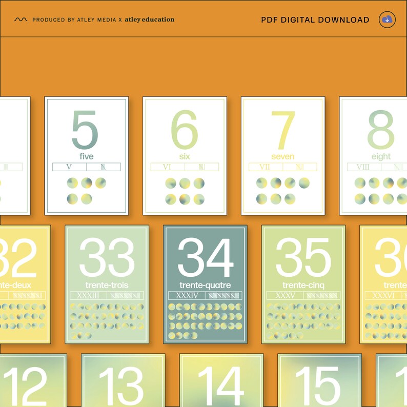 EDITABLE Number Cards - Written, Roman Numerals & Tally Format - Light ...