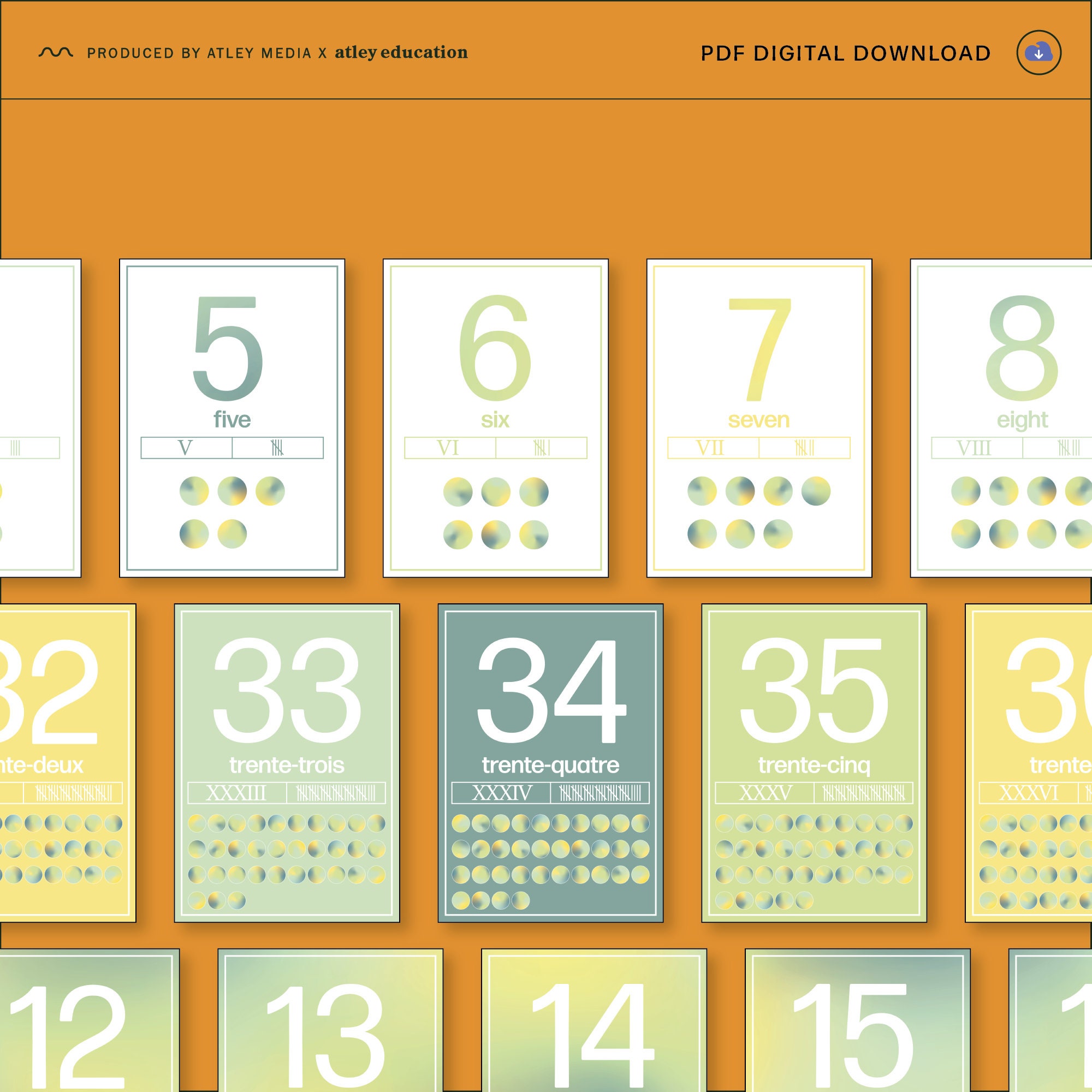 EDITABLE Number Cards - Written, Roman Numerals & Tally Format - Light ...