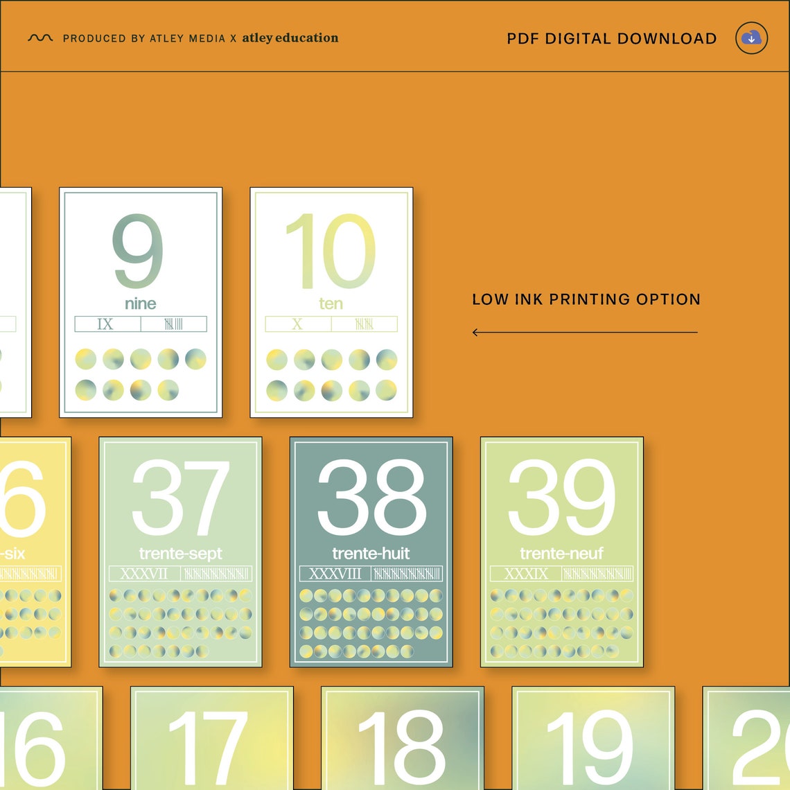 EDITABLE Number Cards - Written, Roman Numerals & Tally Format - Light ...