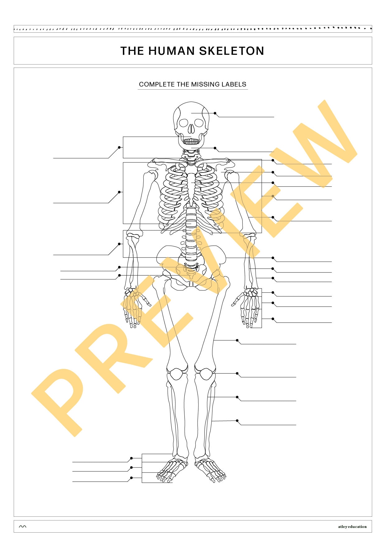 The Human Skeleton Diagram & Worksheets Science Educational Resource - Etsy