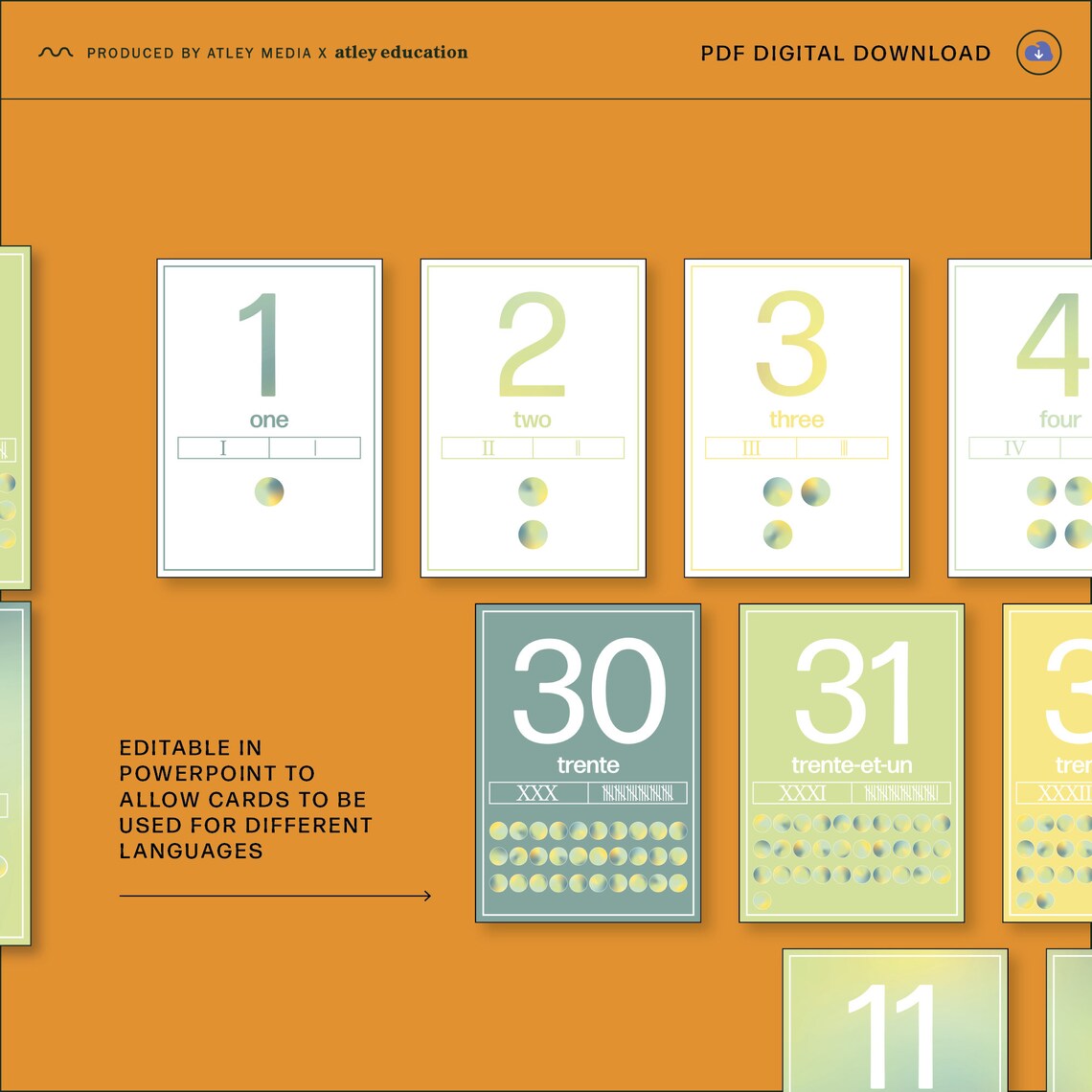 EDITABLE Number Cards - Written, Roman Numerals & Tally Format - Light ...