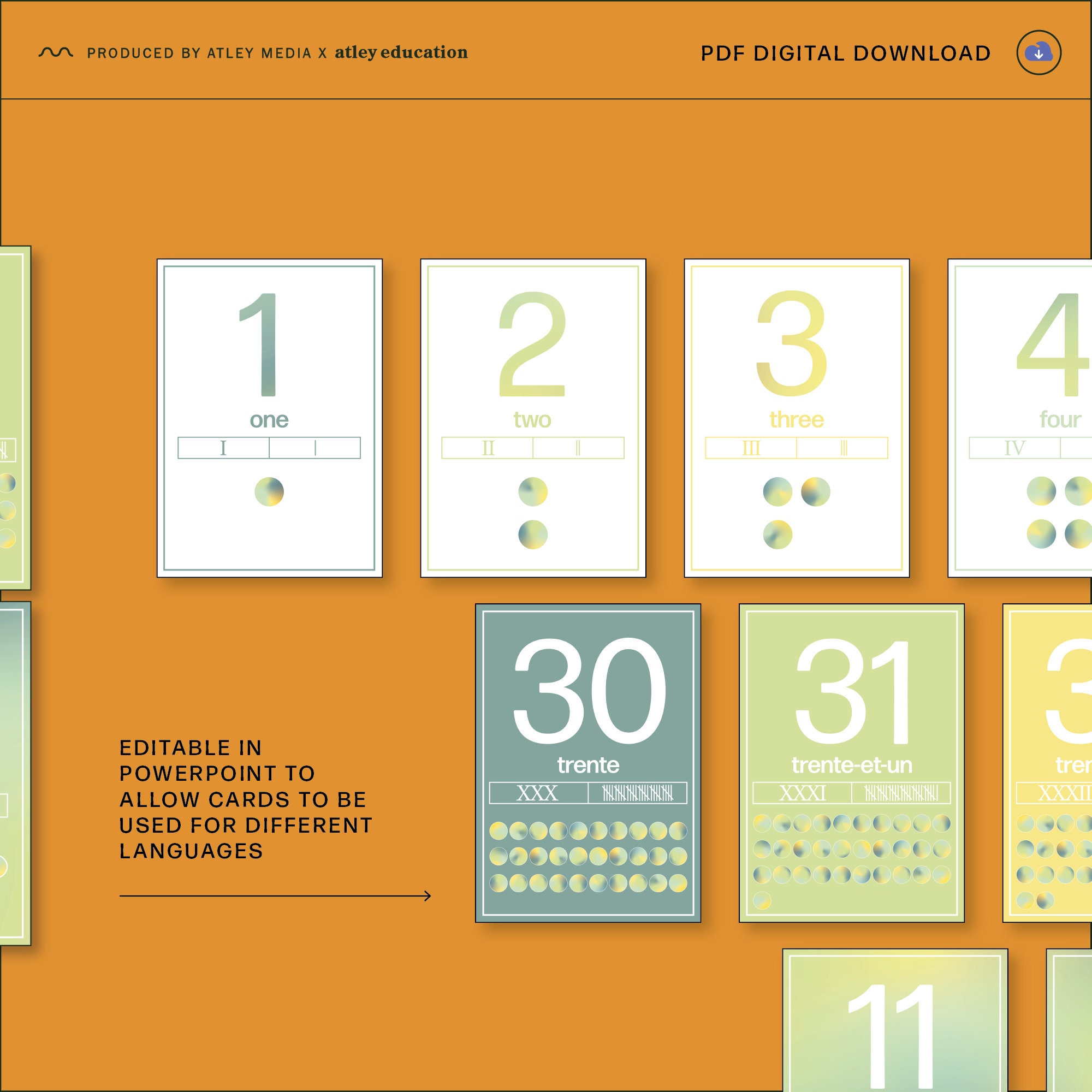 EDITABLE Number Cards - Written, Roman Numerals & Tally Format - Light ...