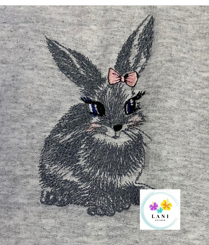 Cute Rabbit Embroidered Sweatshirt, Crewneck for Woman. Pullover ...