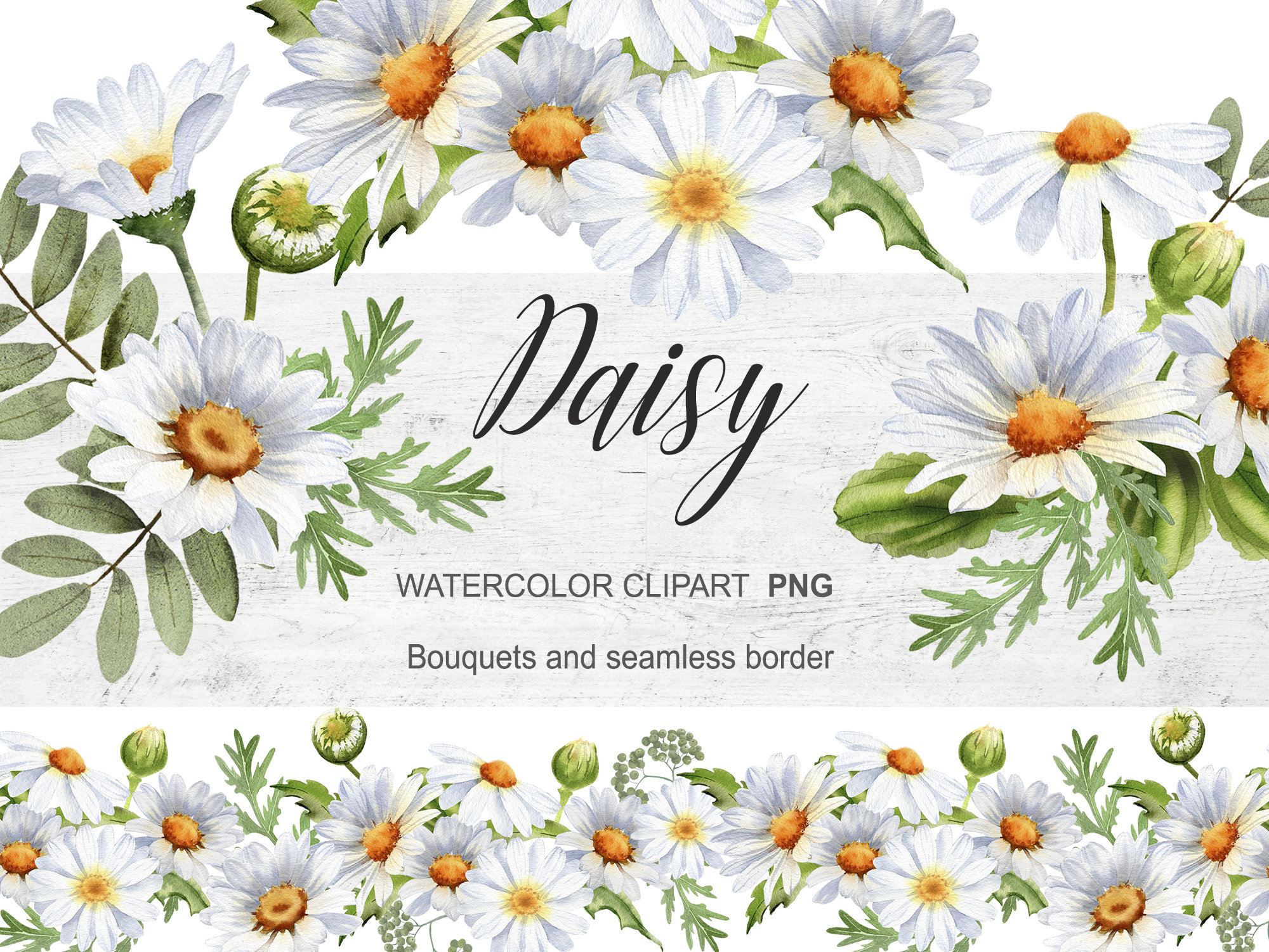 Daisy Clipart Border