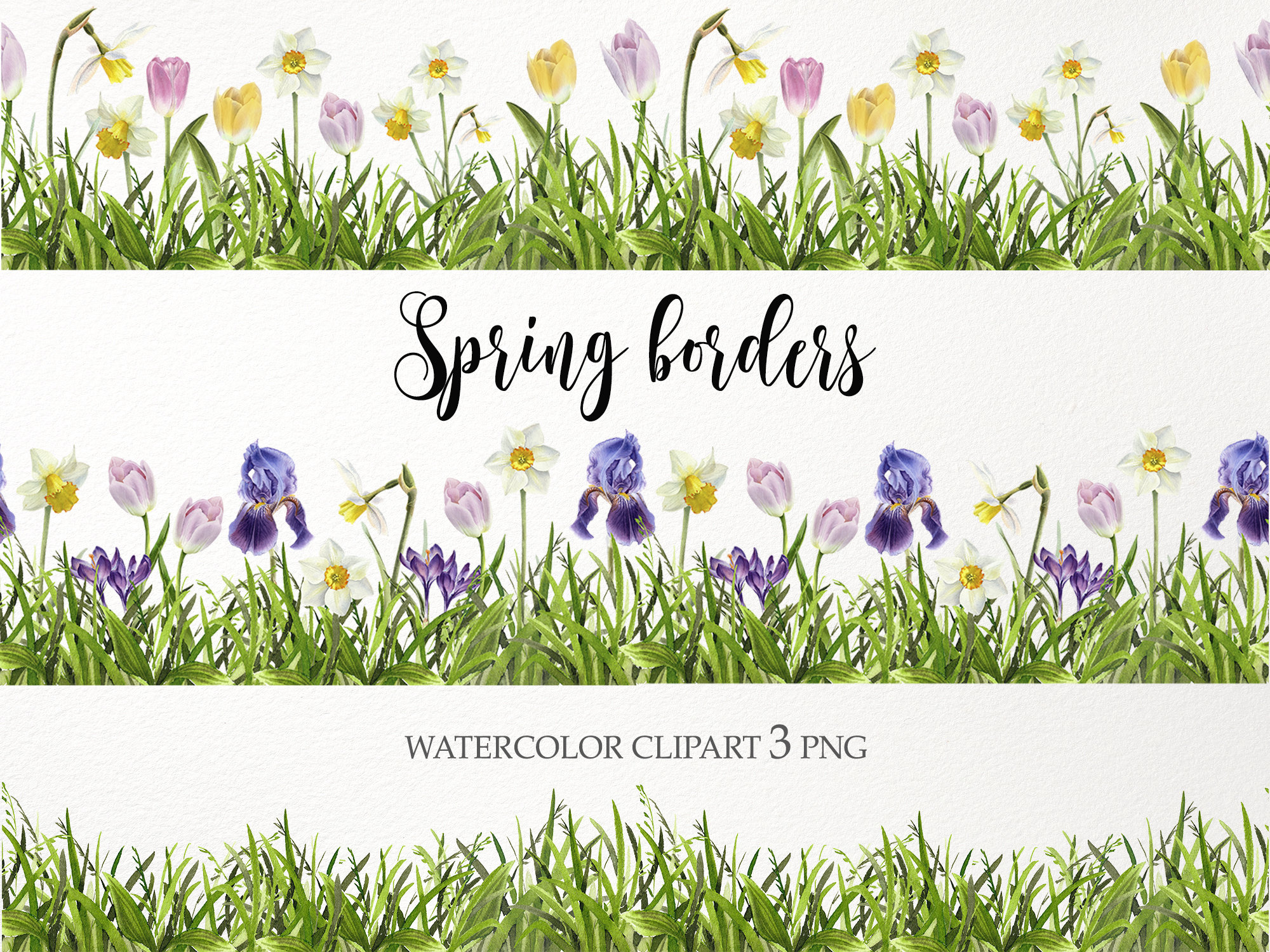 Free Spring Clipart Borders