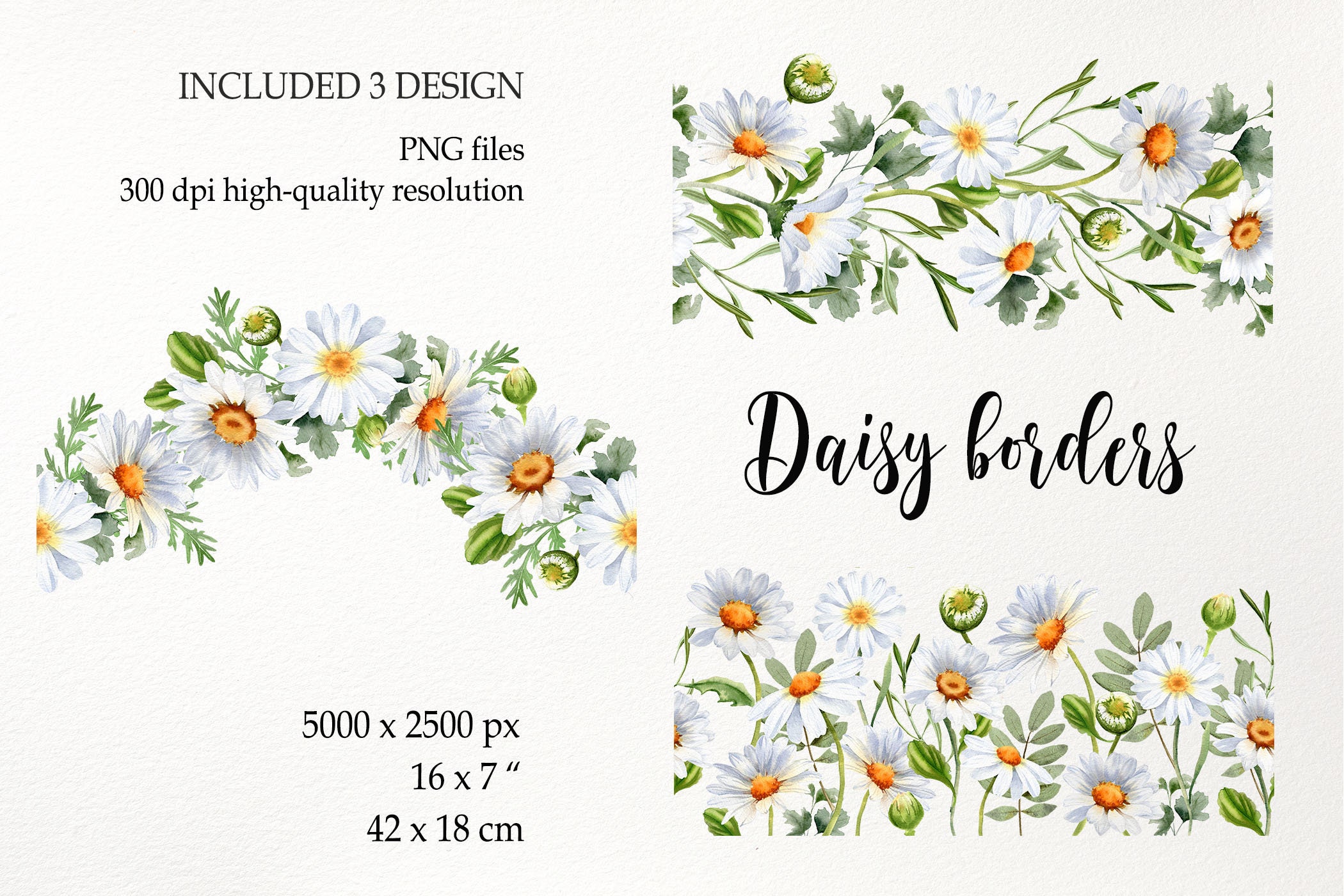 Daisy Border Png