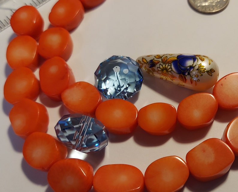 Magnificent Coral Slices of Vibrant Glorious Color With Centers of ...