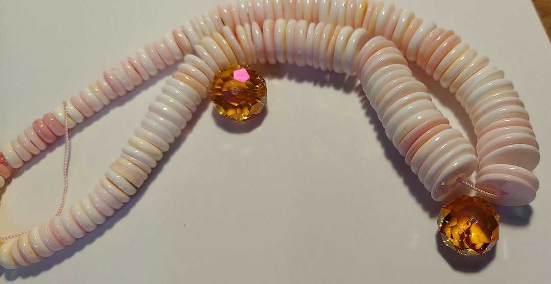 Coral Graduated Slices of Exquisite Peachy & Pinkish Sea Miracles With ...