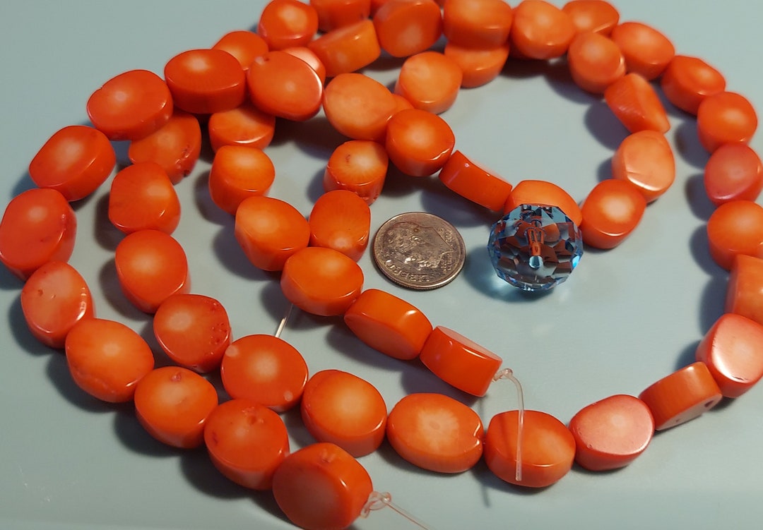 Magnificent Coral Slices of Vibrant Glorious Color With Centers of ...