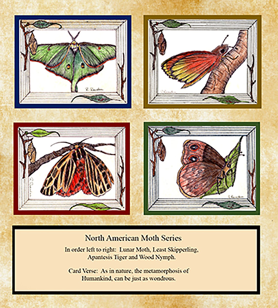 All Occasion Greeting Card Moth Series - Etsy