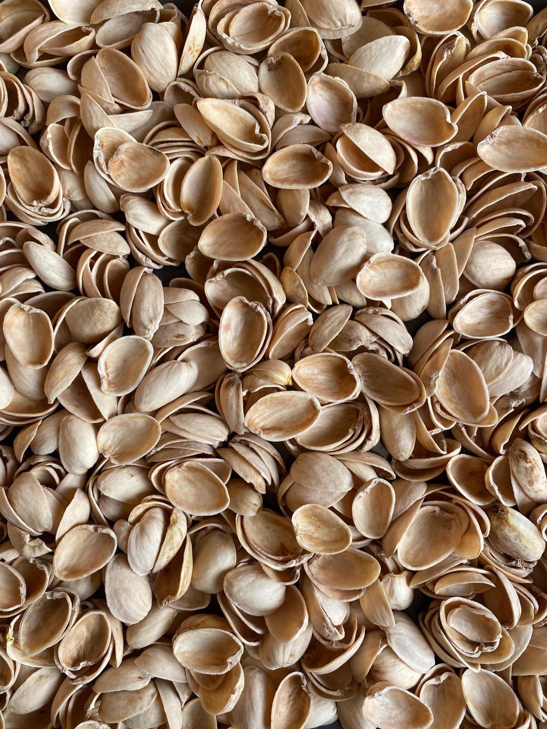Cleaned Pistachio Shells for Arts & Crafts, Bulk 8oz DIY Craft Supplies ...