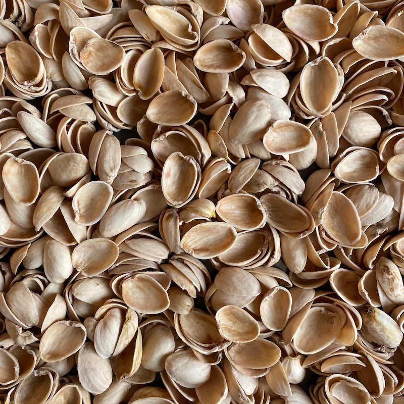 Pistachio Shells Art - Etsy