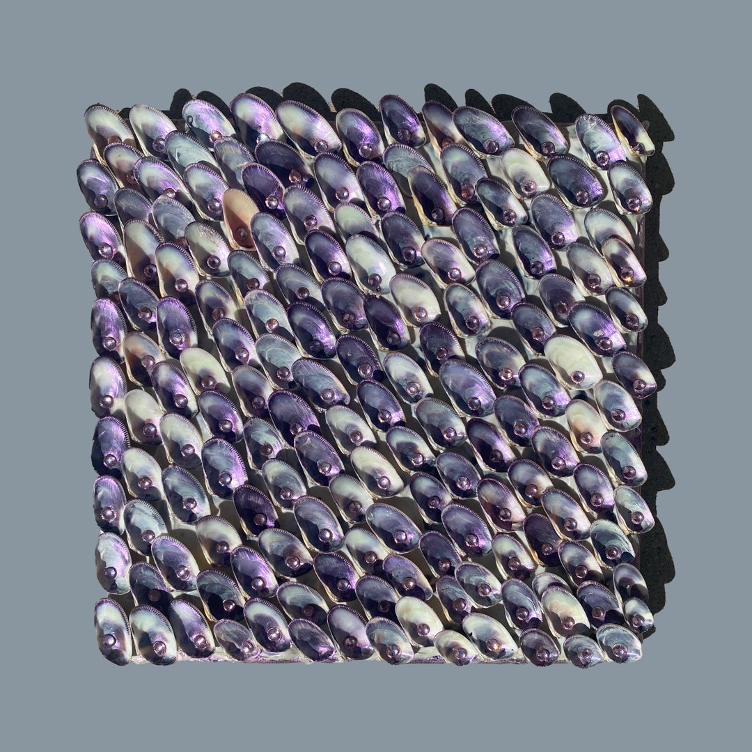 Iridescent Seashell and Rhinestone Wall Decor - Etsy