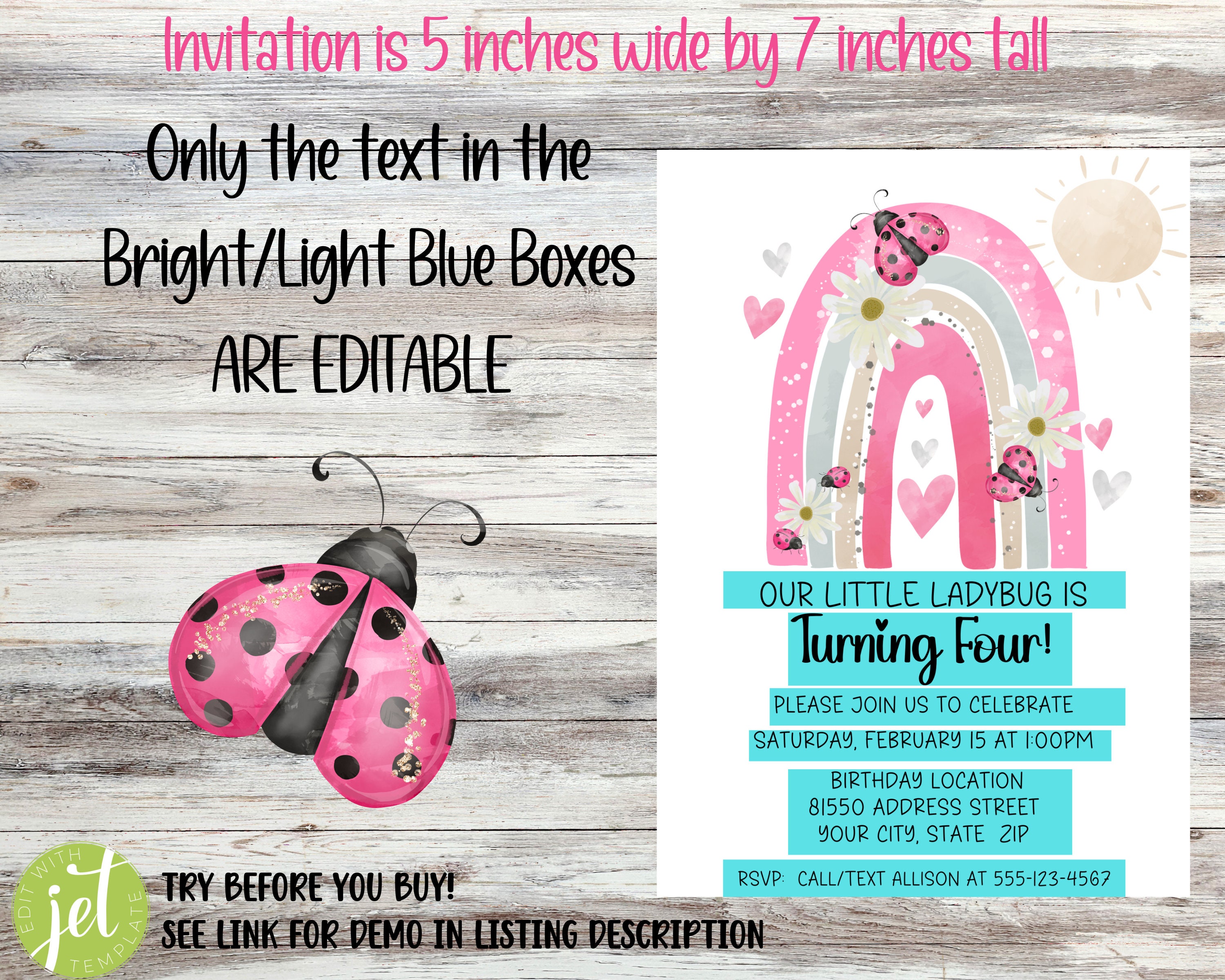 Editable Ladybug Invitation, Ladybug Birthday Invitation, Our Little ...