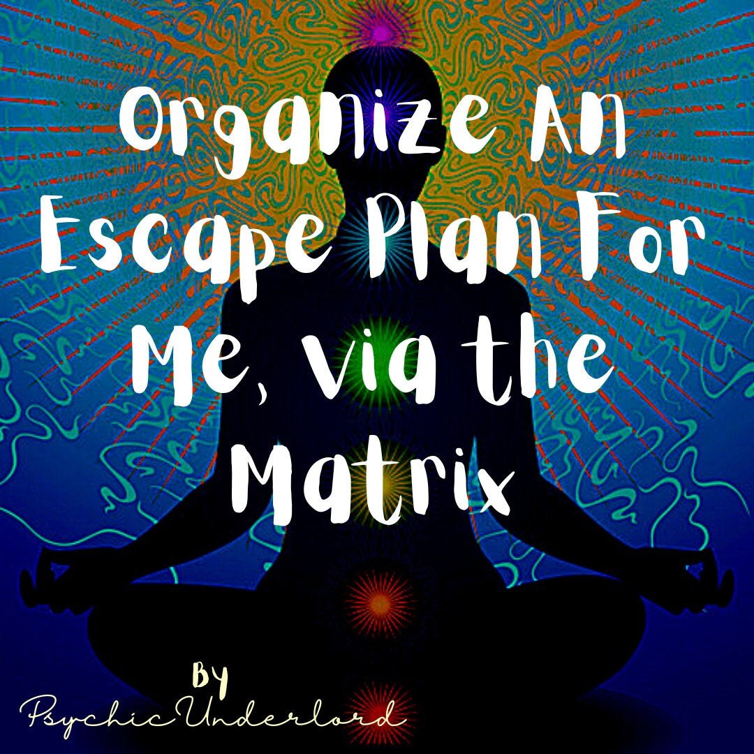 Organize an Escape Plan for Me via the Matrix - Etsy