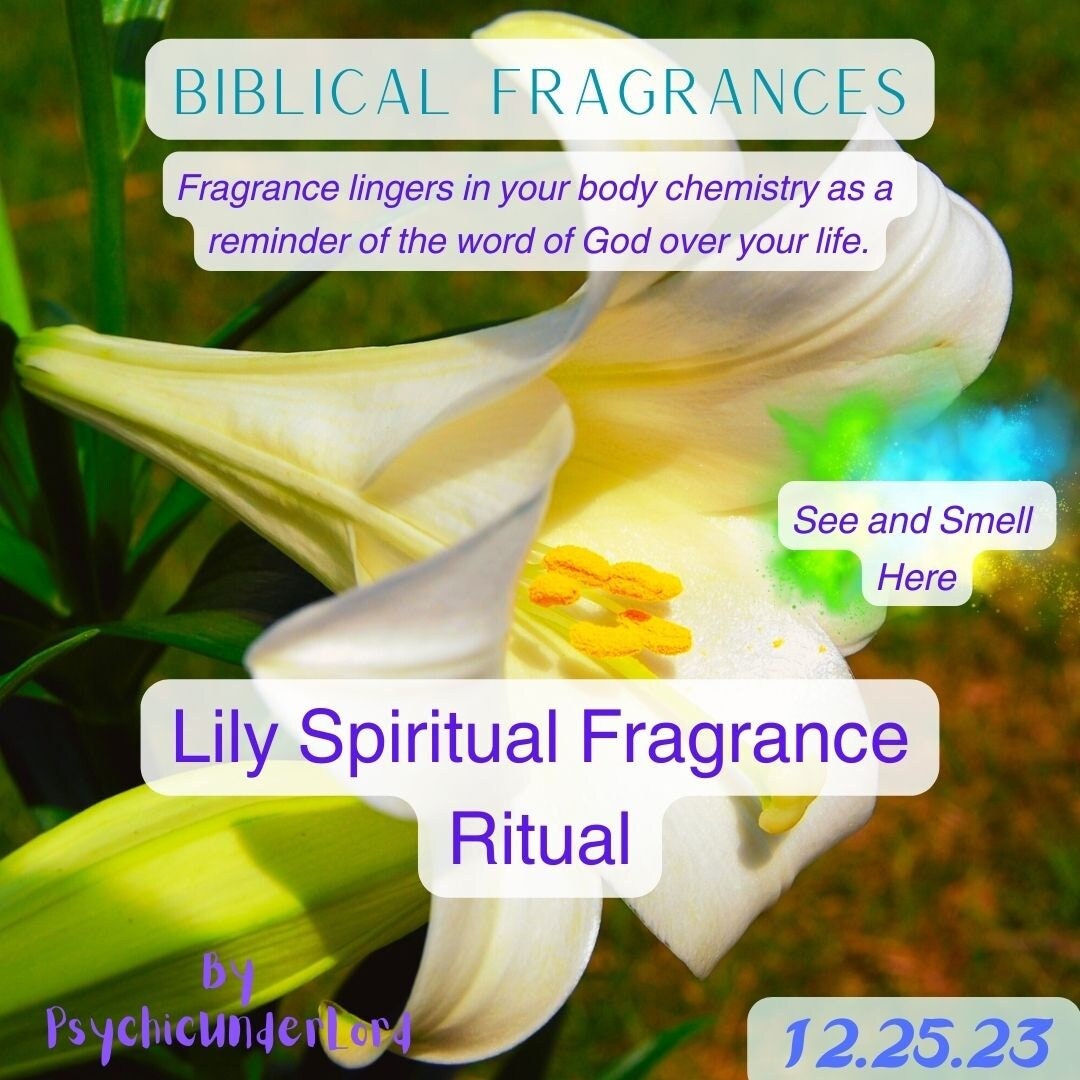 Lily / Christian Fragrances / Biblical / Spiritual Fragrances - Etsy