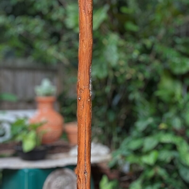 Druid Staff - Etsy