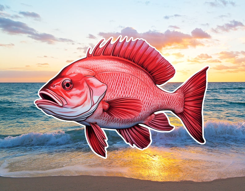 Red Snapper Decal Red Snapper Sticker Snapper Season - Etsy
