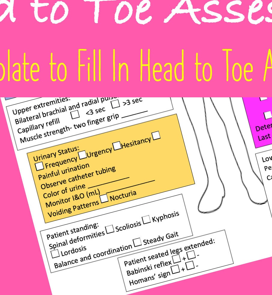 Head to Toe Assessment Fill in Template Check Boxes |1 Page PDF ...