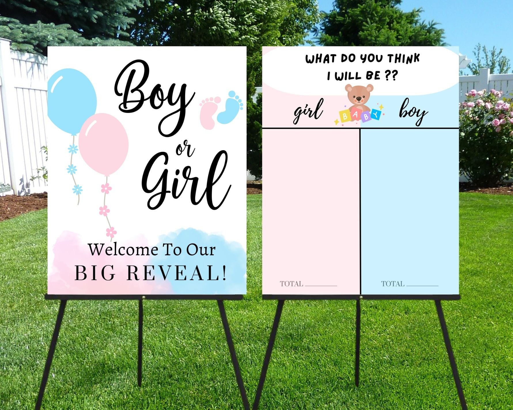Gender Reveal Party Boy or Girl Sign What Will They Be - Etsy