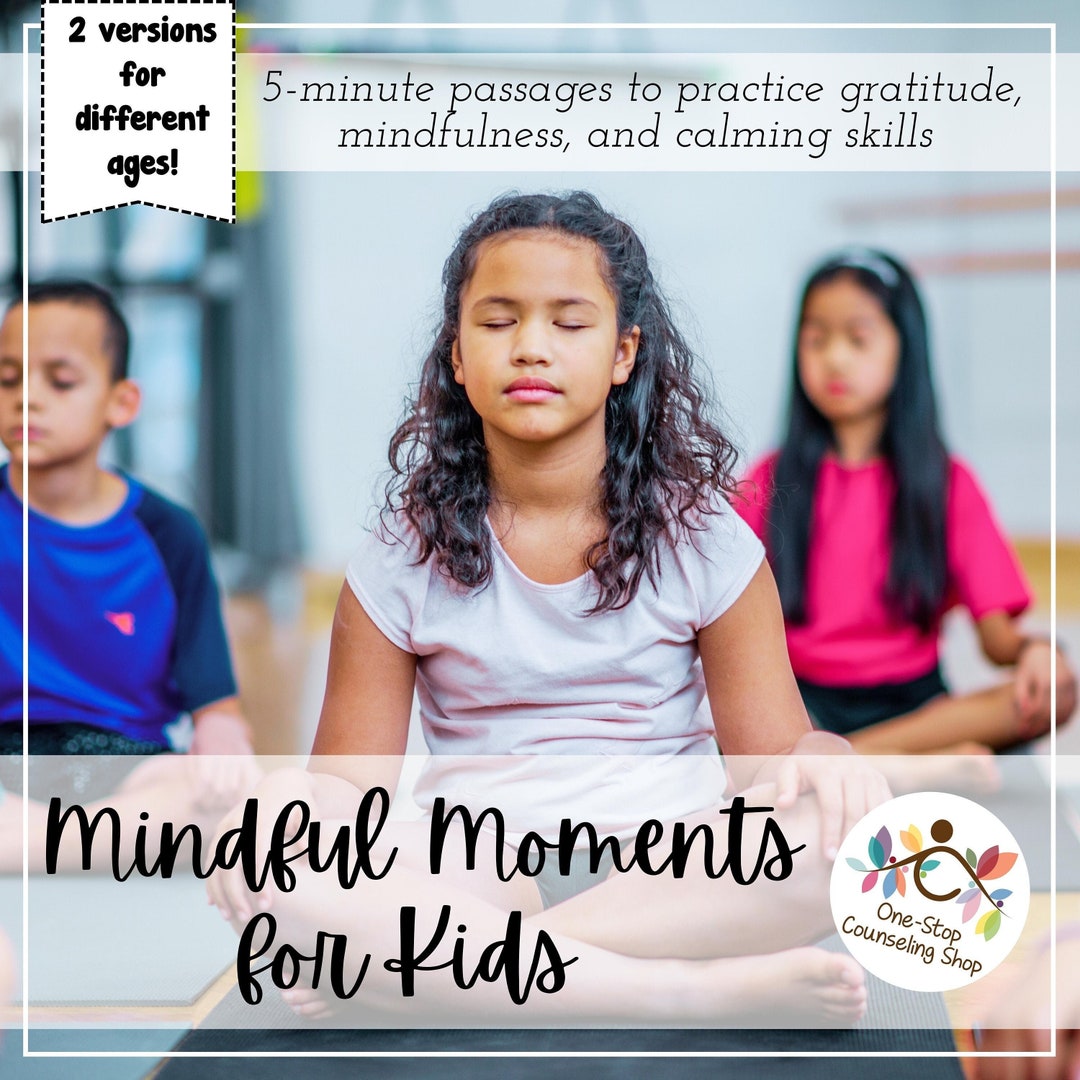 Mindfulness Moments Passages for Teaching Resiliency, Coping Skills ...