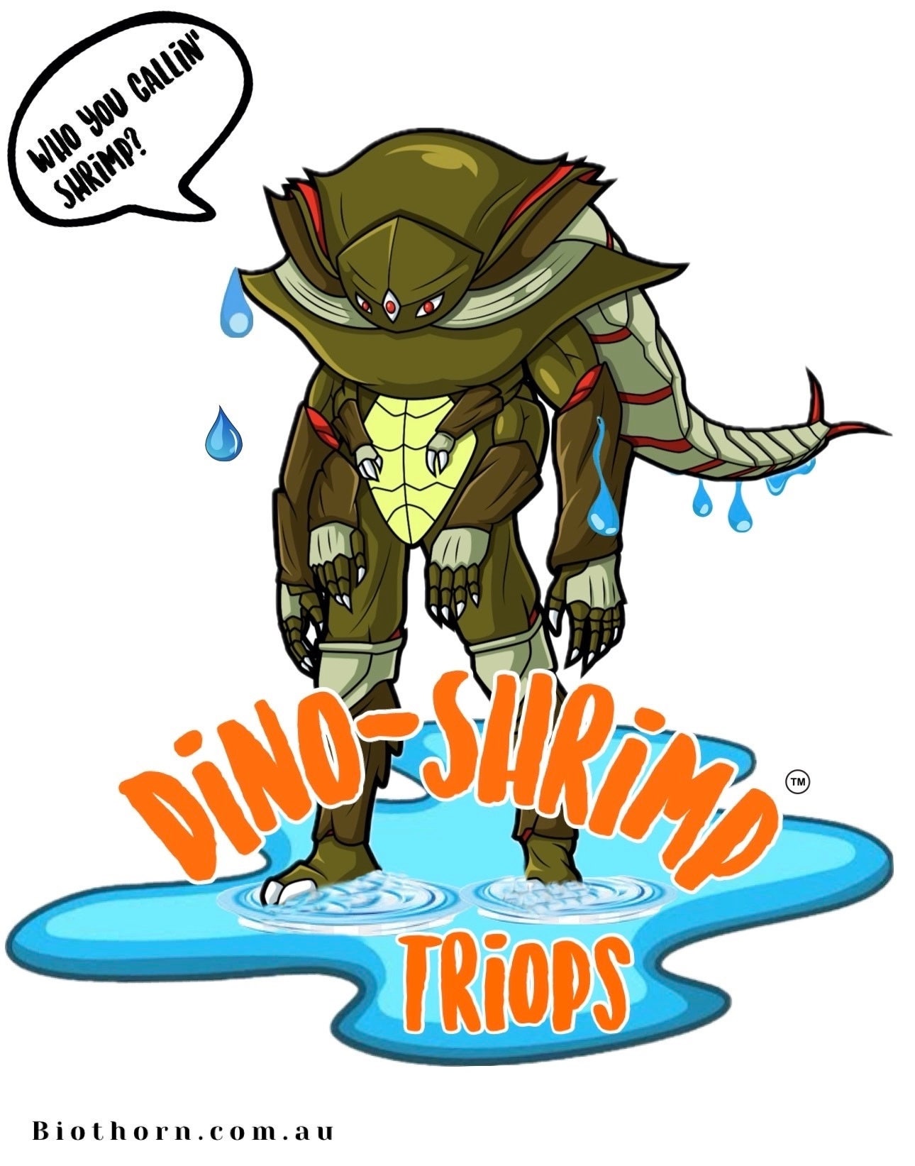 Dino-shrimp Triops Hatchery Kit - Etsy