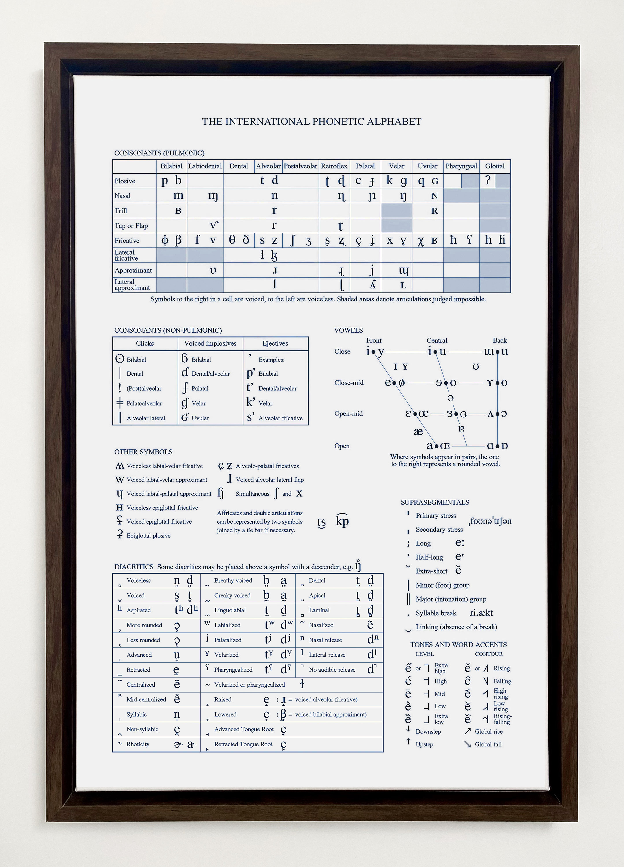 Rainbow International Phonetic Alphabet in Walnut Frame - Etsy UK