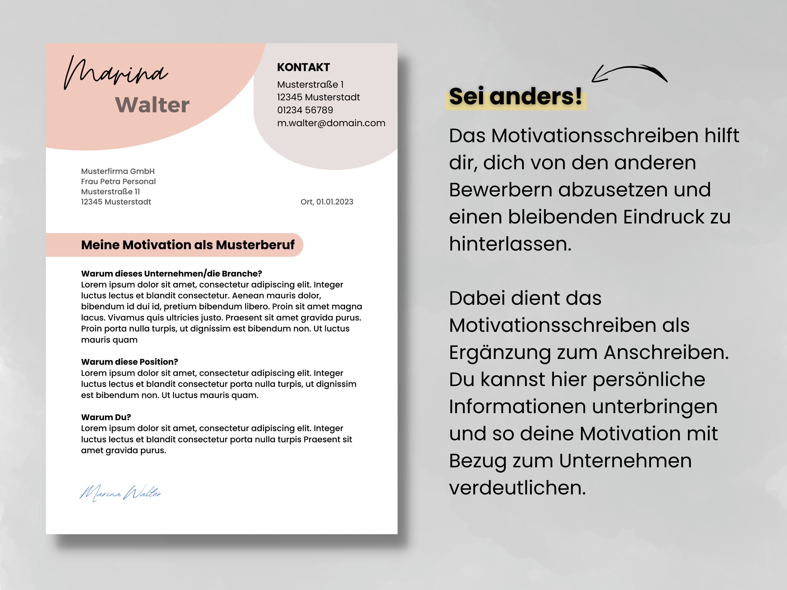 Application Template German Modern Student Resume Cover Sheet - Etsy