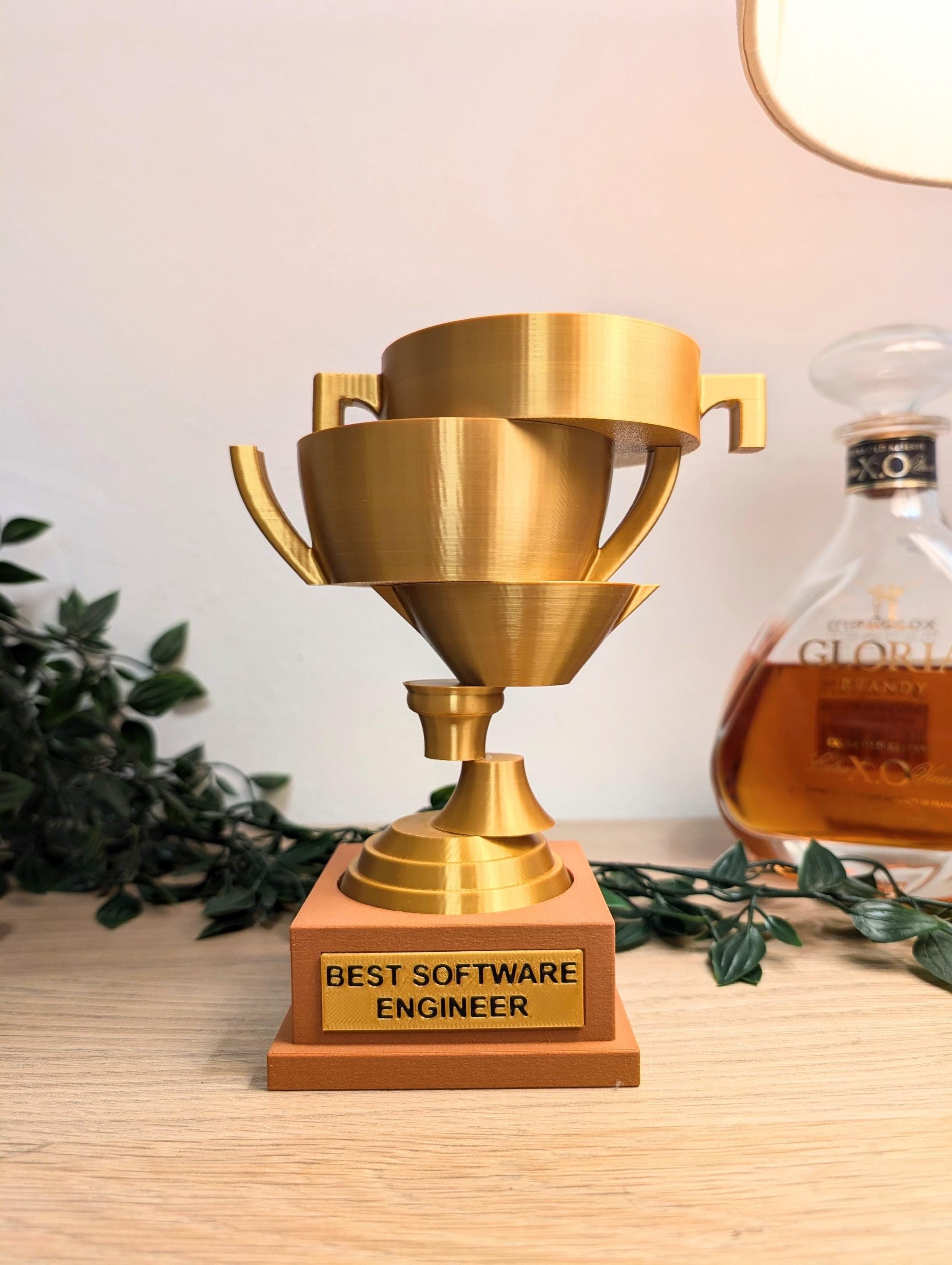 Personalized Glithced Trophy, Programmer Award Design, Gift for ...