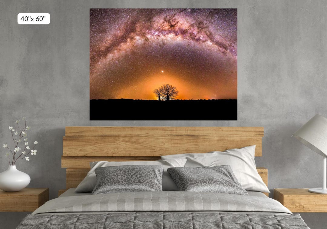 Milky Way Over Boab Tree – Western Australia Night Sky Astrophotography ...