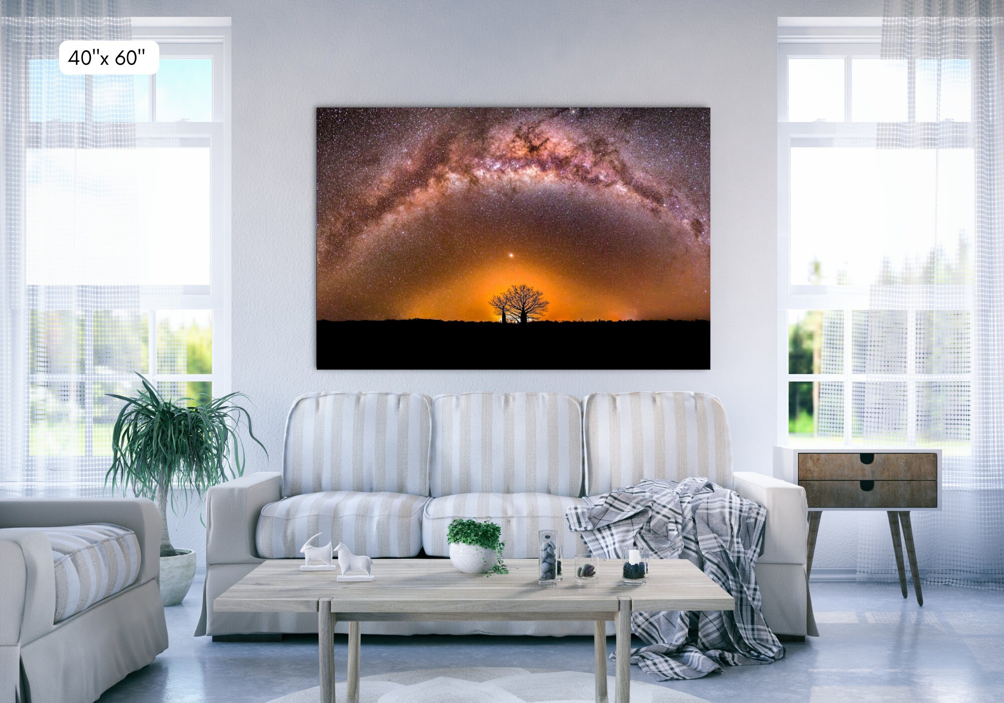 Milky Way Over Boab Tree – Western Australia Night Sky Astrophotography ...