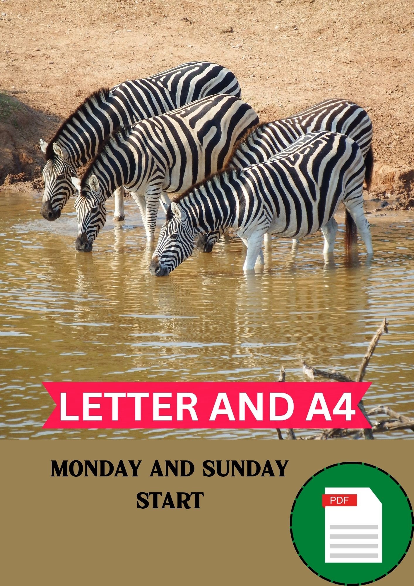 Zebra Print Desktop Monthly Calendar