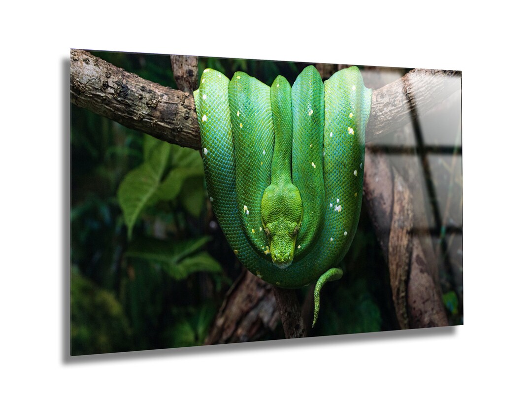 Tempered Glass Wall Art-green Snake Wall Decoration-animal Glass Wall ...