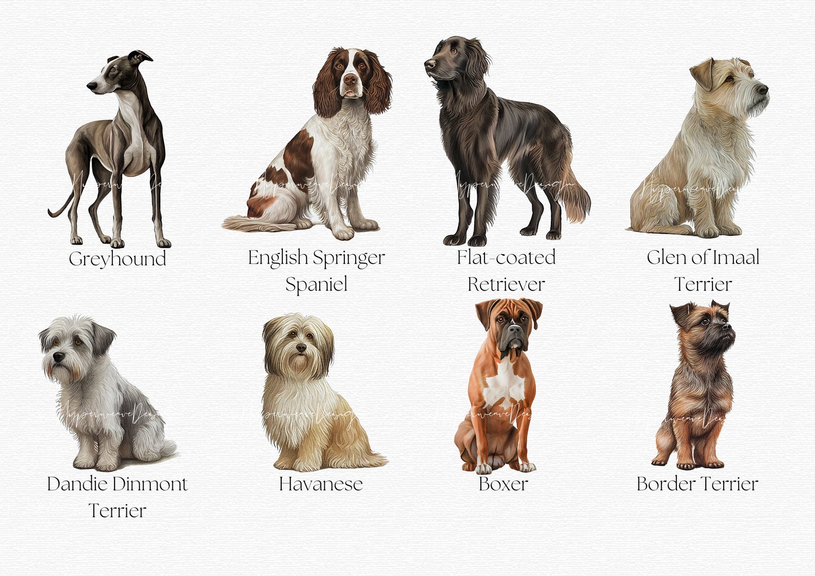 45 Dogs Clipart Set Hand Drawn Small Medium & Large Breeds Watercolor ...