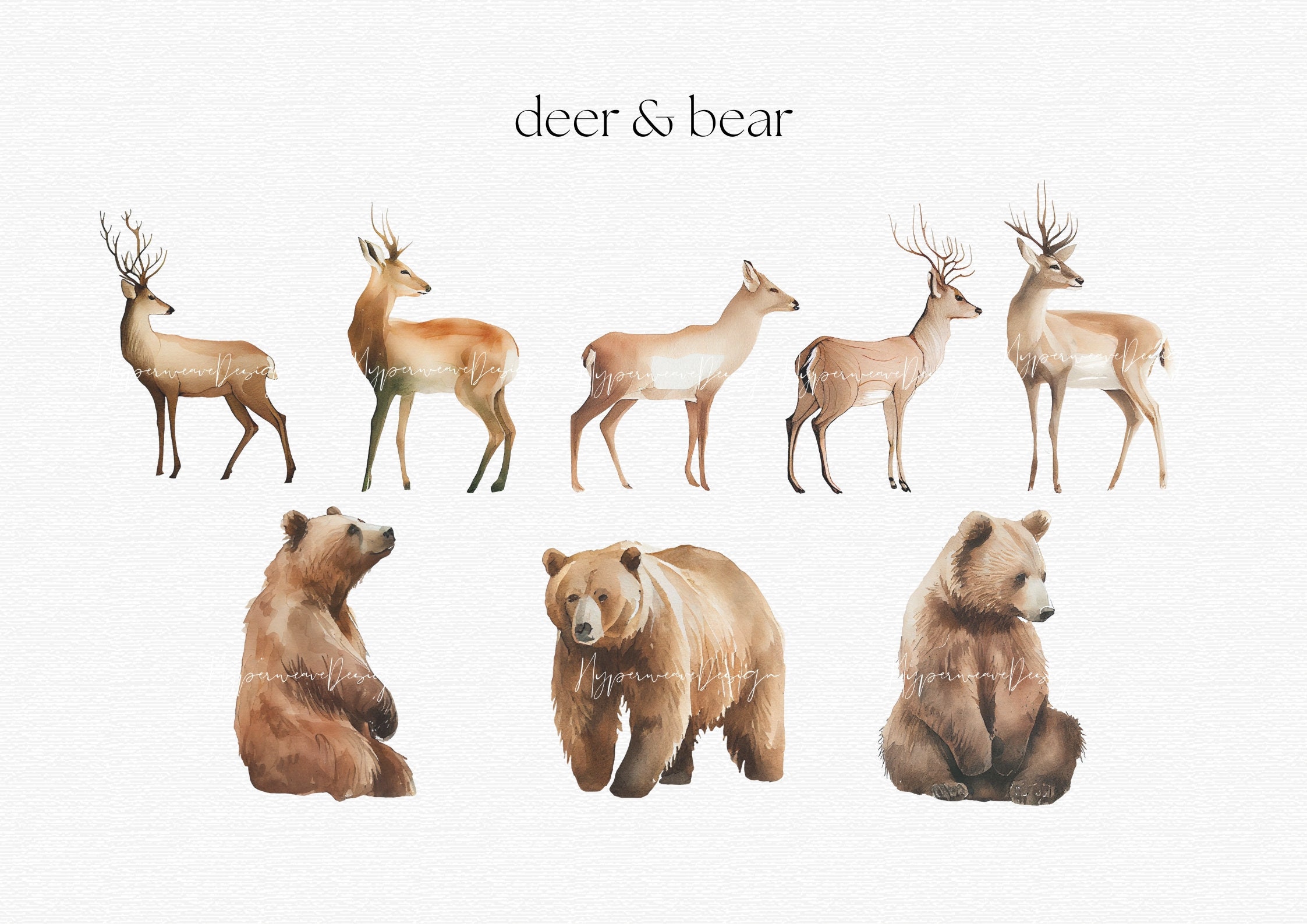 45 Watercolor Wild Forest Digital Clipart Set Enchanted - Etsy