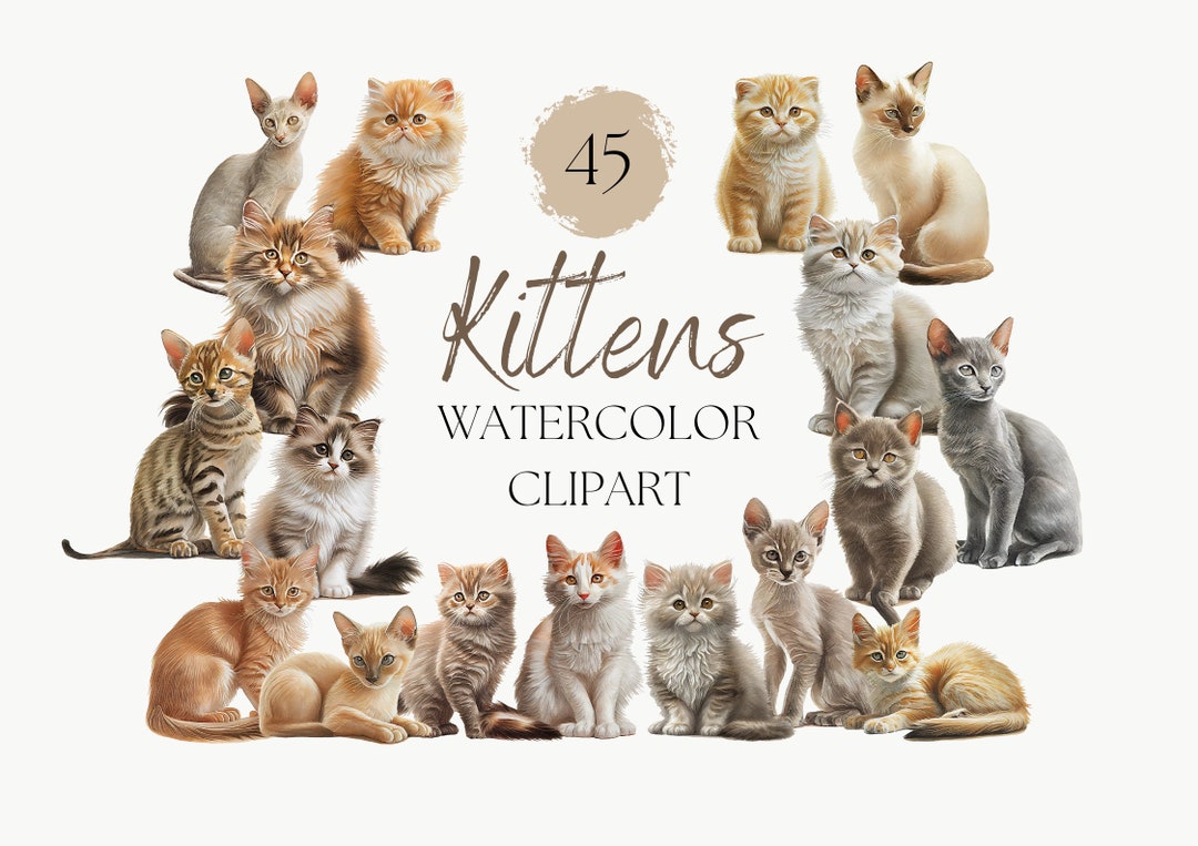 45 Kittens Clipart Set - Hand Drawn - Cat Breeds - Watercolor Digital ...