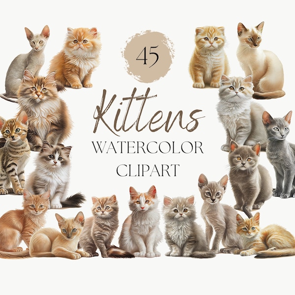 Cat Breeds Clipart - Etsy