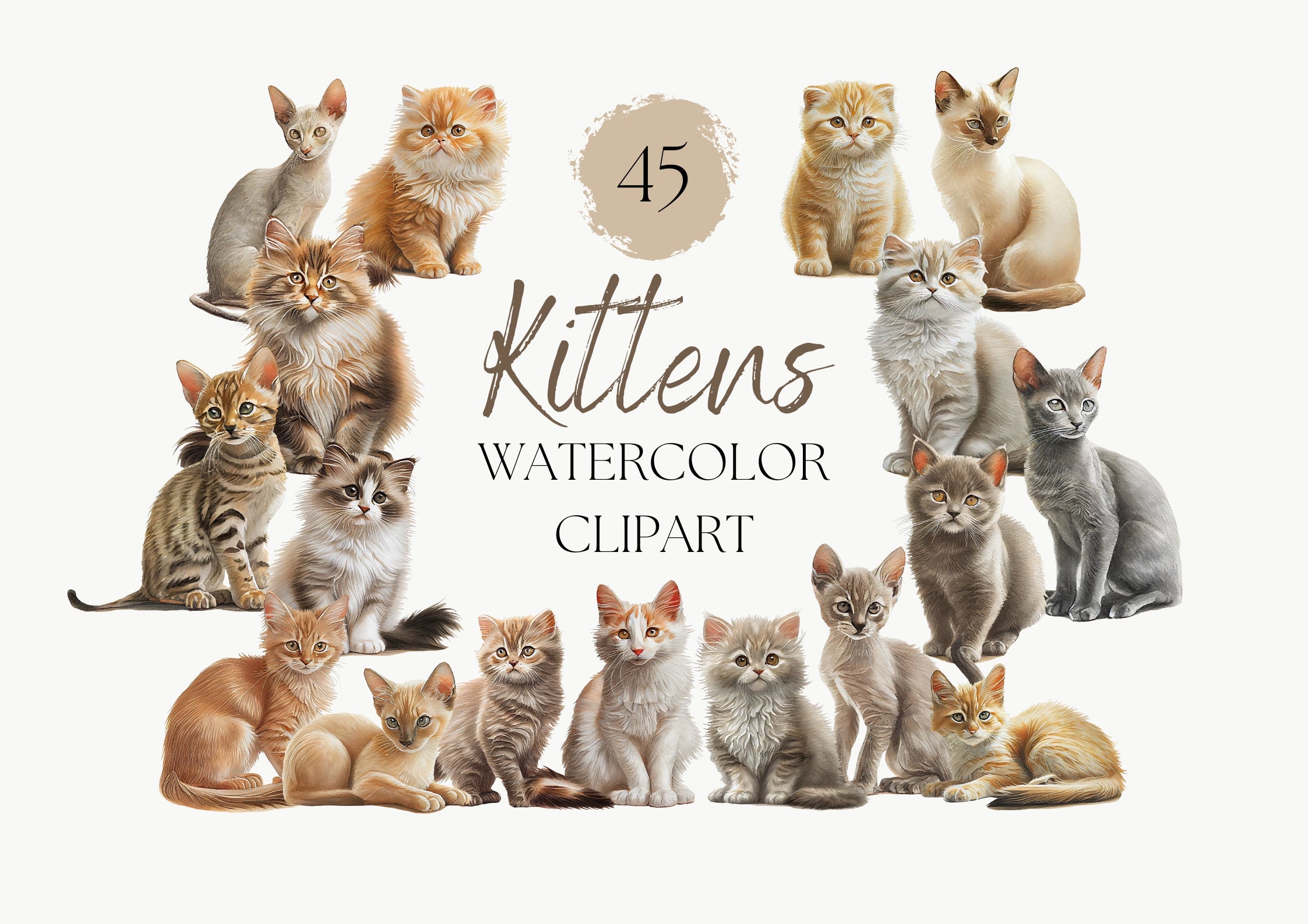 45 Kittens Clipart Set - Hand Drawn - Cat Breeds - Watercolor Digital ...