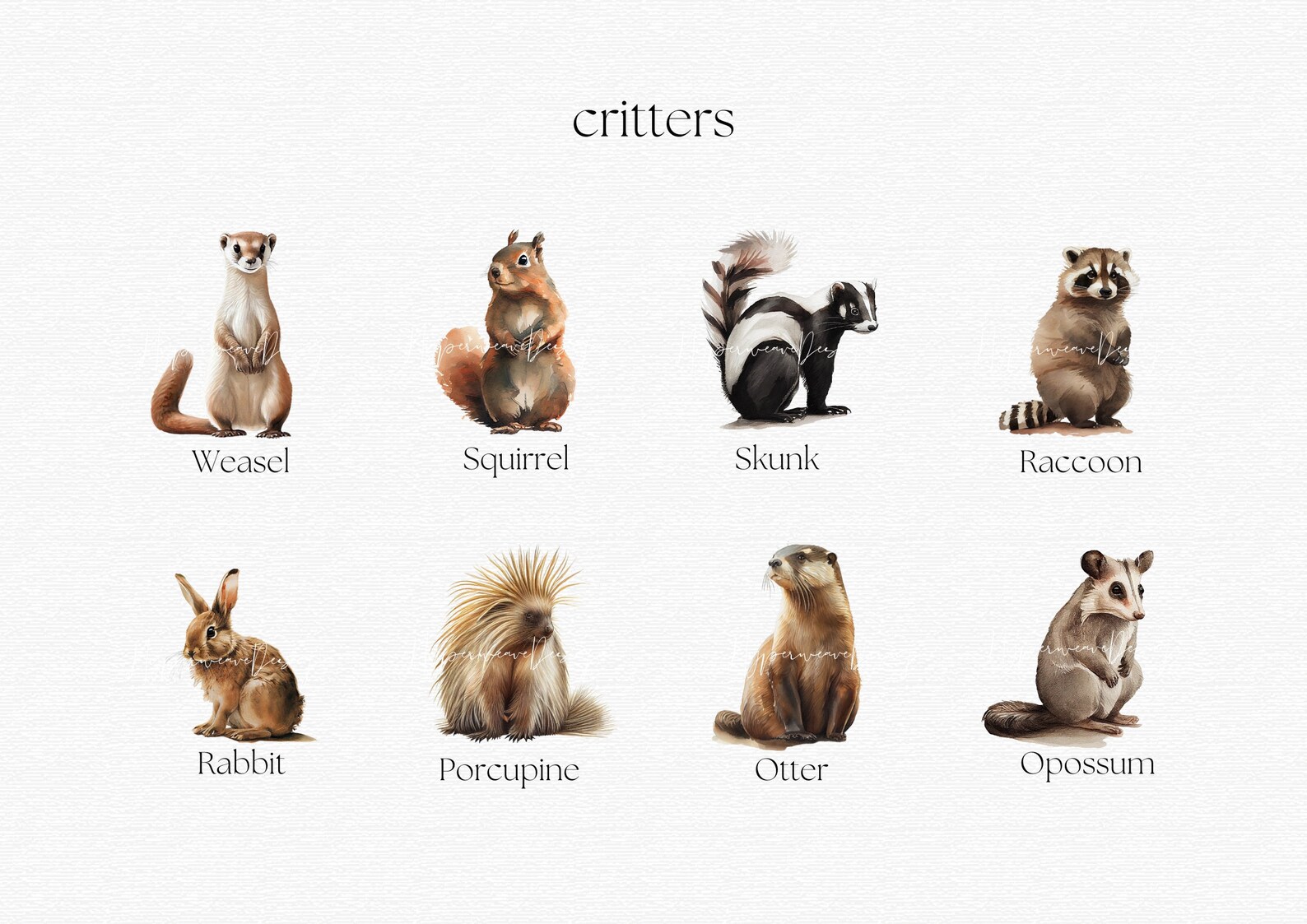 25 Woodland Birds & Critters Clipart Set - Hand Drawn - Watercolor ...