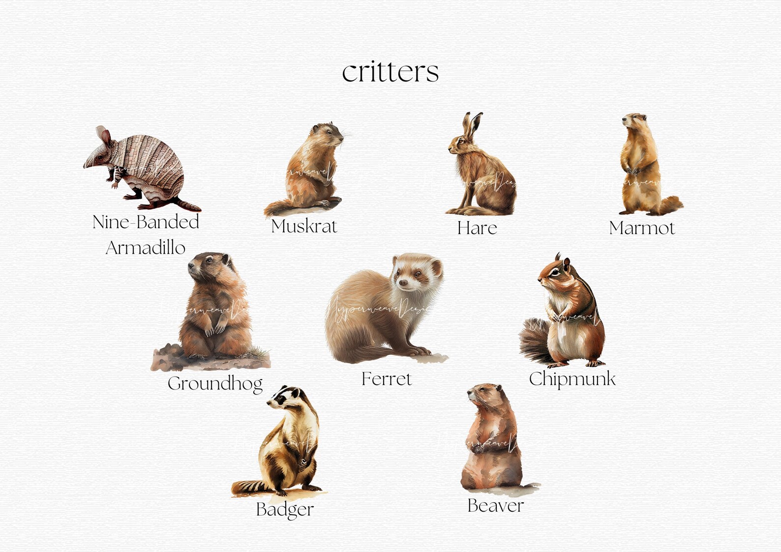 25 Woodland Birds & Critters Clipart Set - Hand Drawn - Watercolor ...