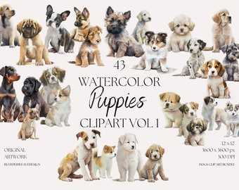 Dog Clipart Set Hand Drawn Dog Breeds Small, Medium and Large Dogs ...