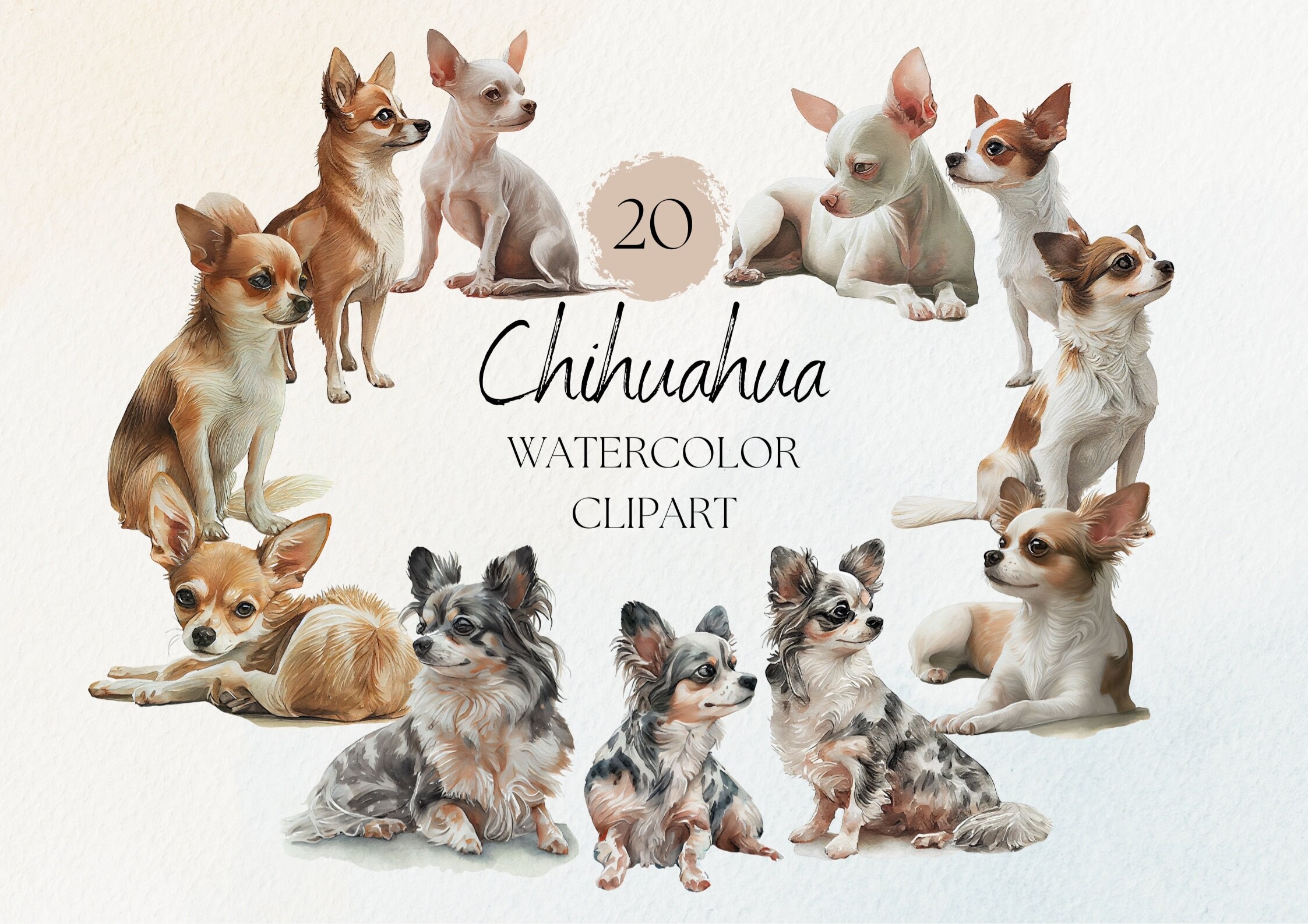 240 Puppies & Dogs Clipart Bundle - Hand Drawn - Small Medium Large ...