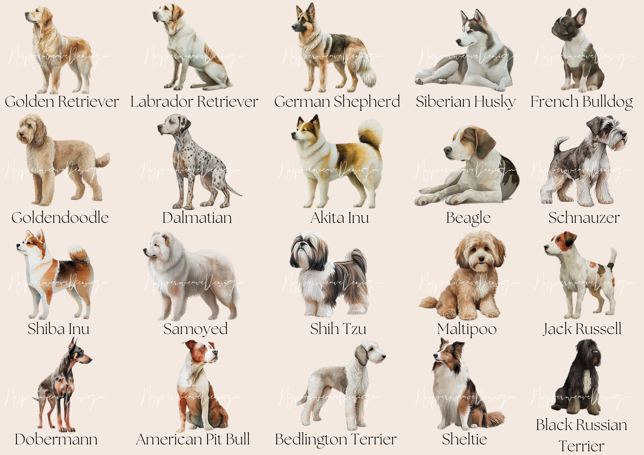 43 Dogs Clipart Set - Hand Drawn - Small Medium & Large Breeds ...