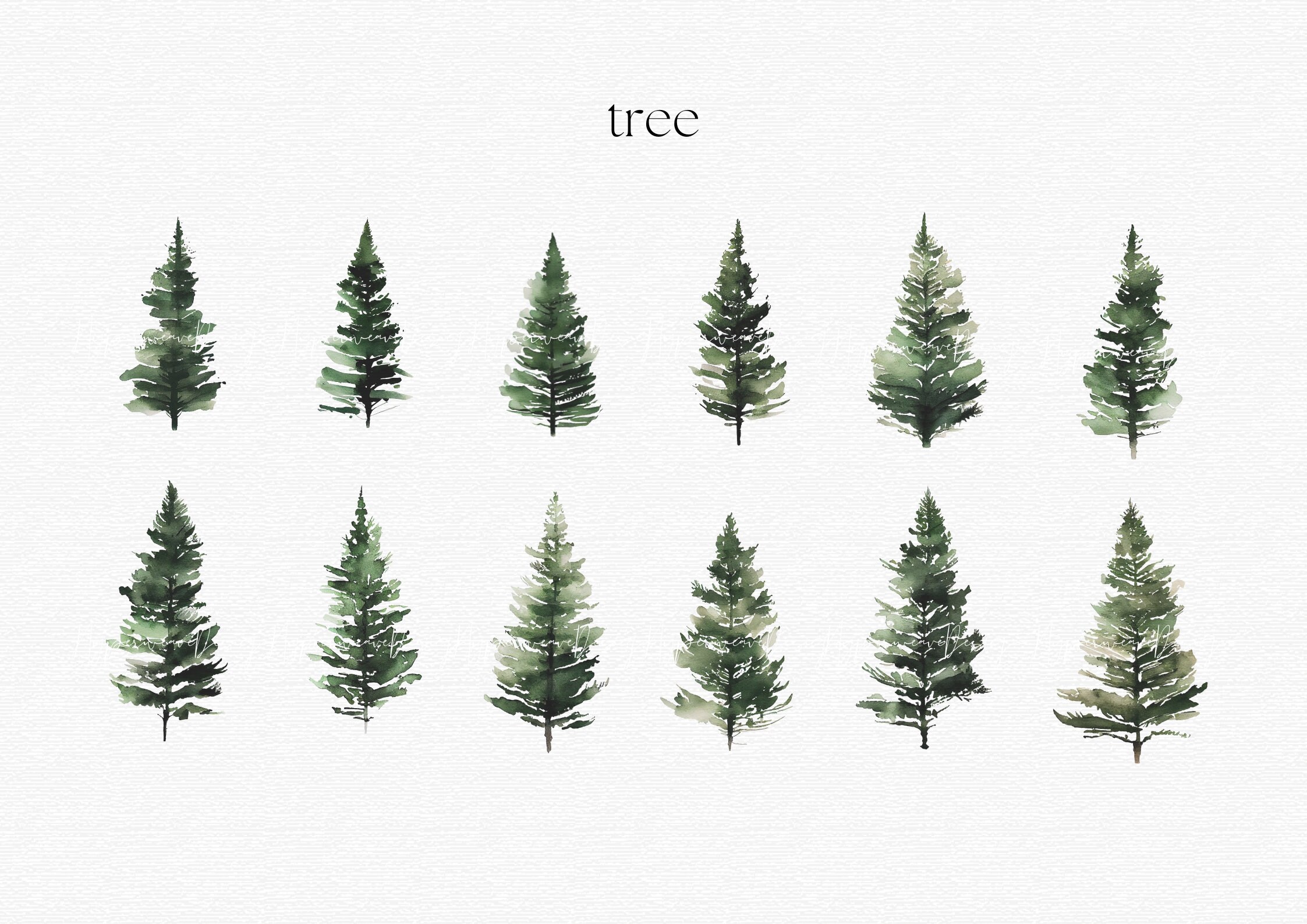 45 Watercolor Wild Forest Digital Clipart Set Enchanted - Etsy