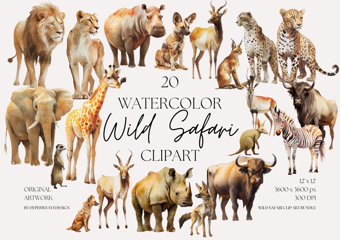 20 Safari Animals Clipart Set Hand Drawn Watercolor Digital PNG Lion ...
