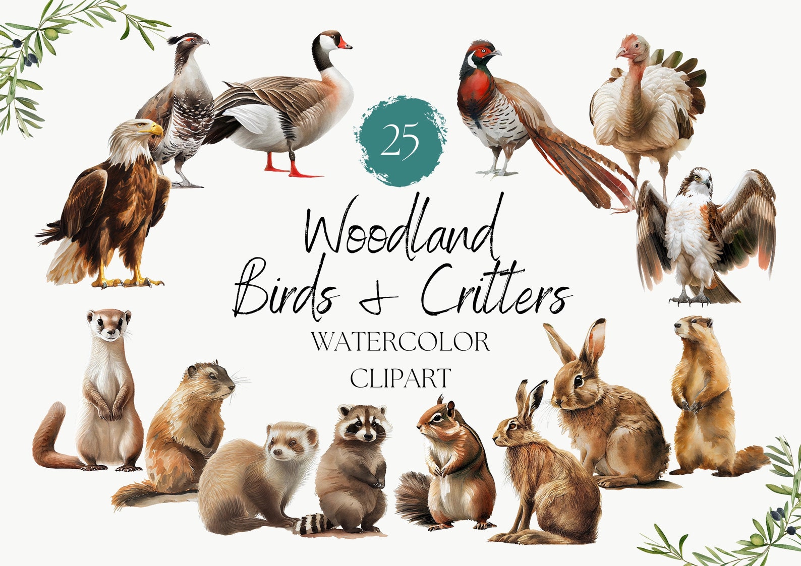 25 Woodland Birds & Critters Clipart Set - Hand Drawn - Watercolor ...